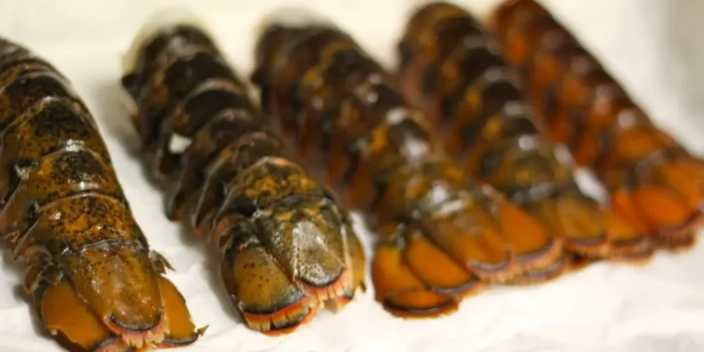 Two Fresh/Frozen Canadian Cold Water Lobster Tails - Highland Fish Market