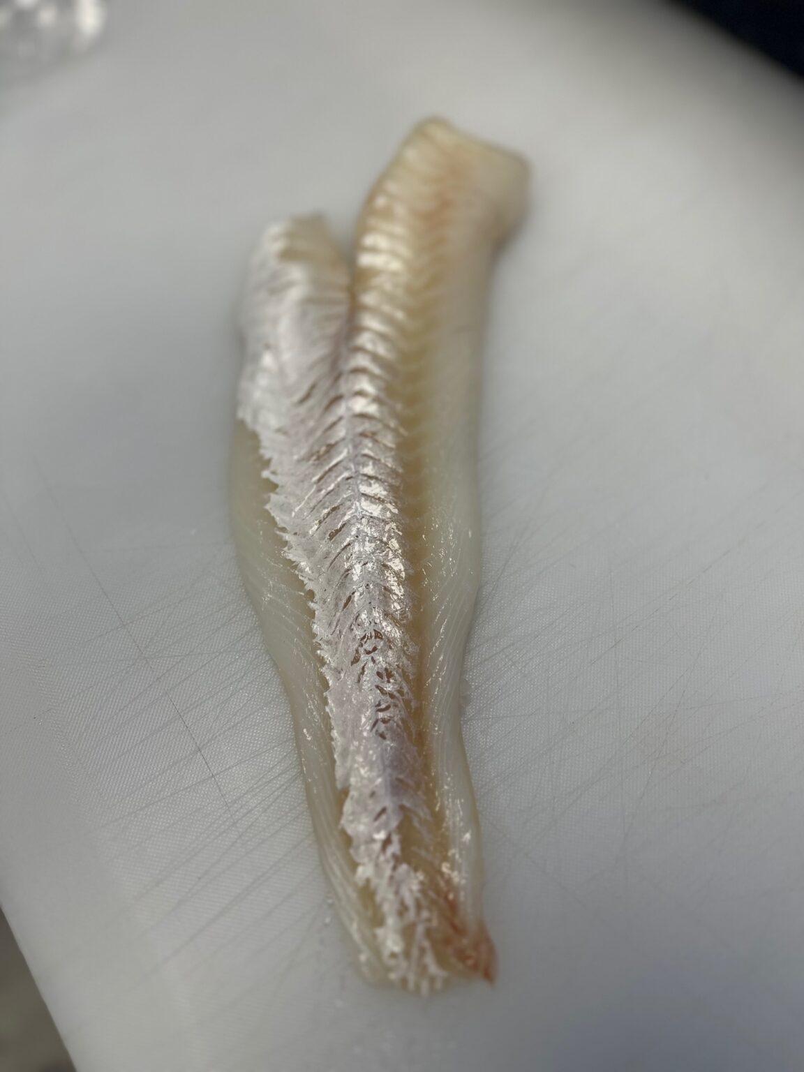 Wild Caught East Coast Cod - Highland Fish Market