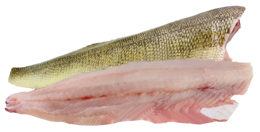 Fresh Wild Lake Superior Walleye - Highland Fish Market